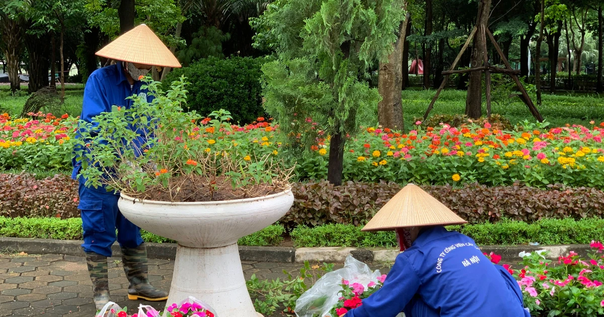 Nhân sự dùng bằng giả, nhà thầu gánh hậu quả