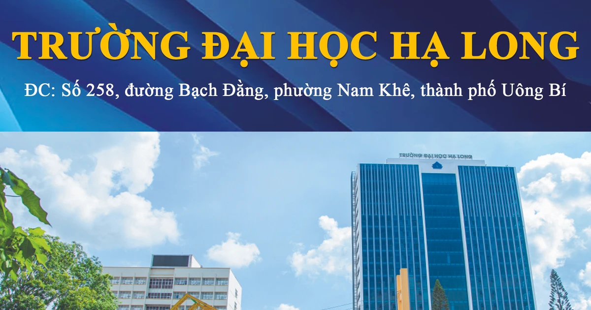 Trường Đại học Hạ Long thông báo nhu cầu mua sắm trang thiết bị | Báo ...
